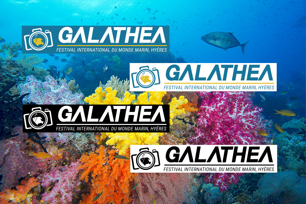 Nouveau logo pour la 4ème édition de Galathea 2019 - Galathea ...